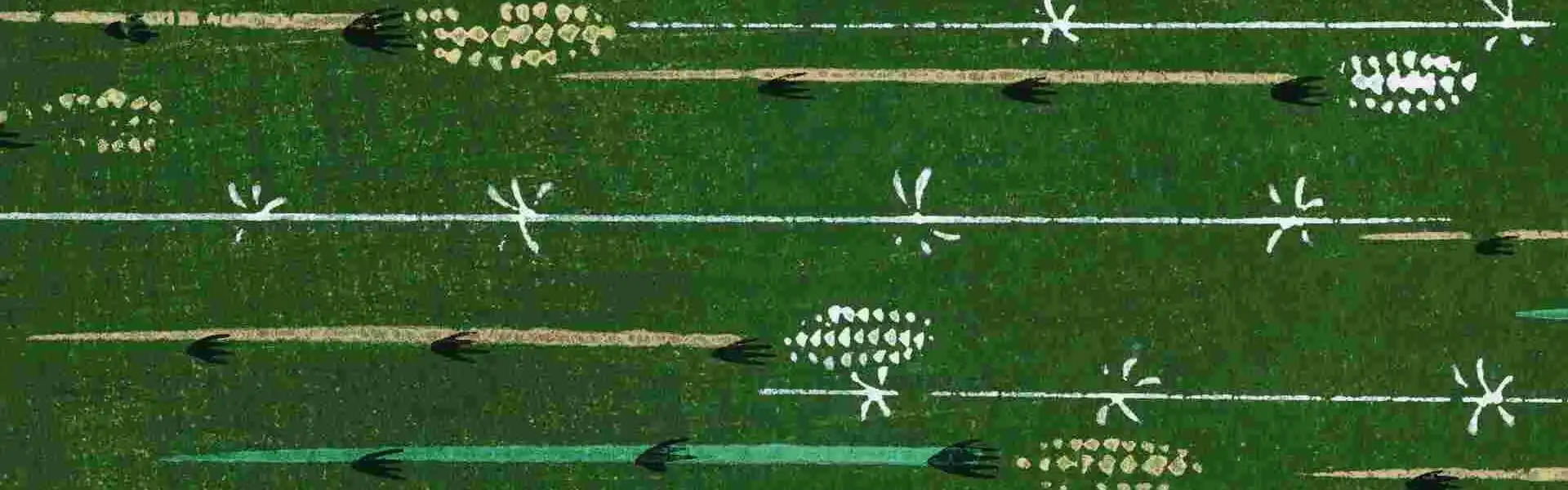 Puddin’ Tame or Pudding Tane — from A Way with Words