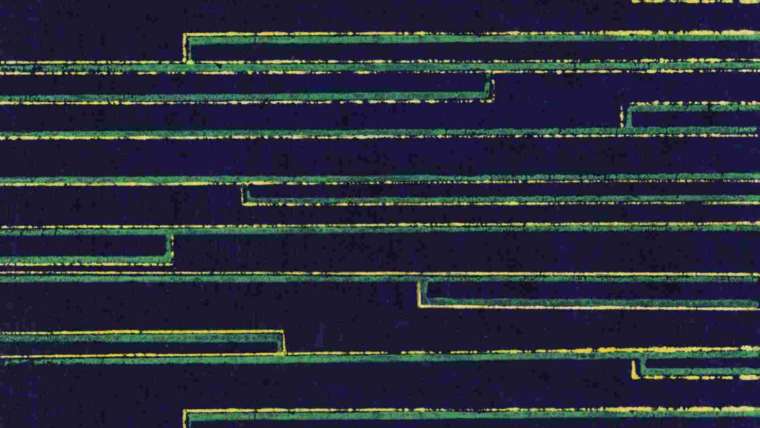 Segments Episodes and Segments – A Way with Words, a fun radio show and ...